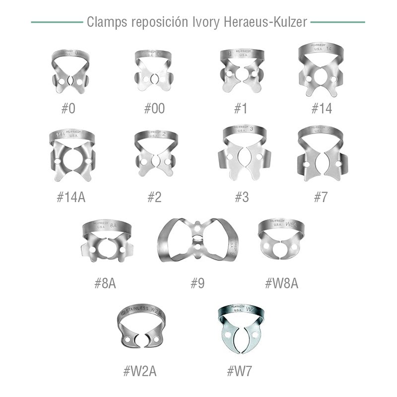 Clamp Ivory Clamps y diques Endodoncia - Royal Dent